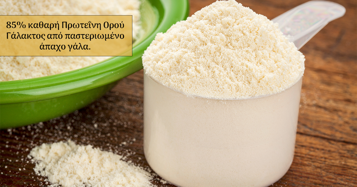 Πρωτεΐνη Ορού Γάλακτος