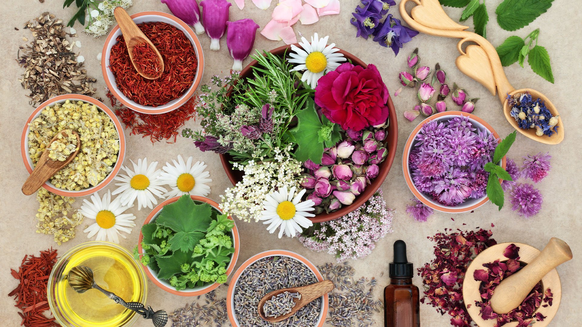 Βοτανοθεραπεία - Βότανα - Φυτικά Προϊόντα Υγείας